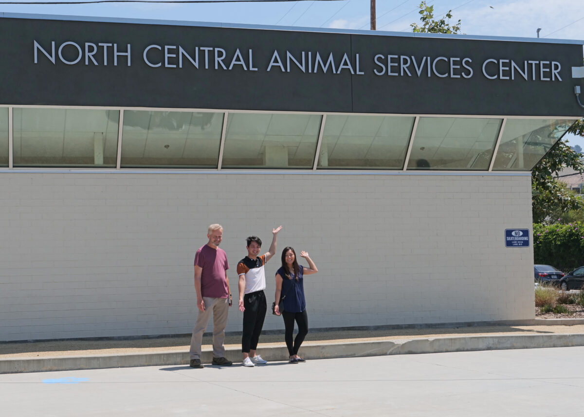 Spay & Neuter Center | Pet Health Care